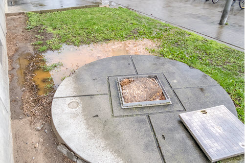 What to Do When Your Septic Tank Overflows | 1-800 WATER DAMAGE