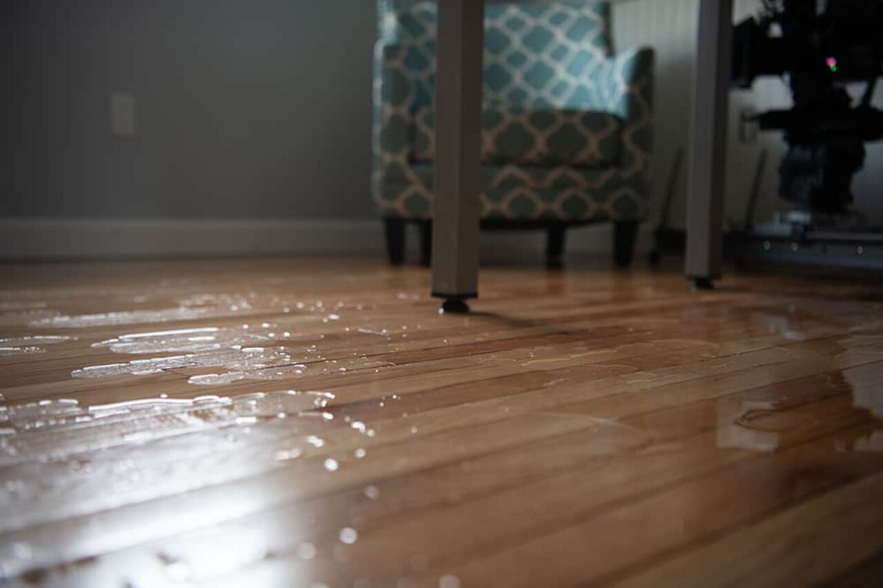 1-800 WATER DAMAGE News | Property Restoration Experts